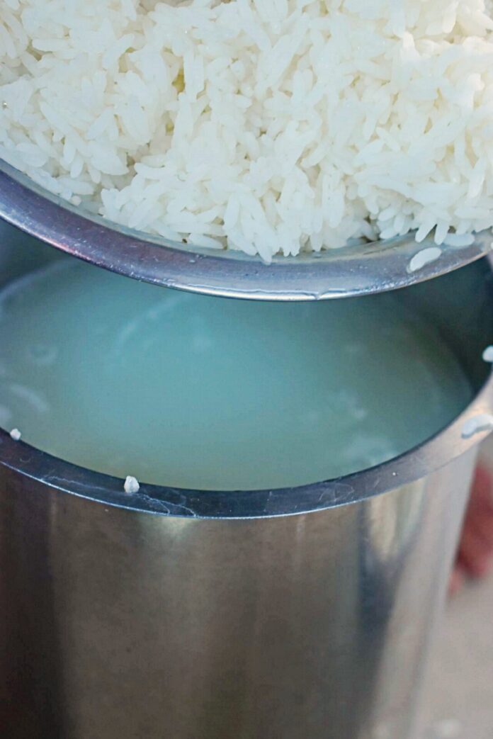 What drained rice water has to offer - ways Indians use it in everyday ...